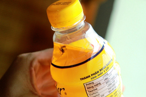 Lại phát hiện chai Number One có ruồi