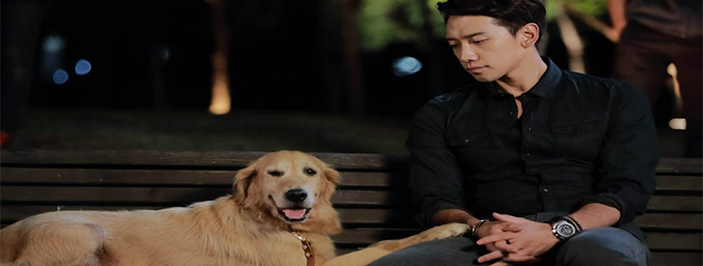 Bi Rain: Tin tức, hình ảnh mới nhất về gia đình của nam diễn viên