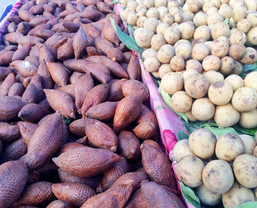 Mây Thái hút khách vì lạ