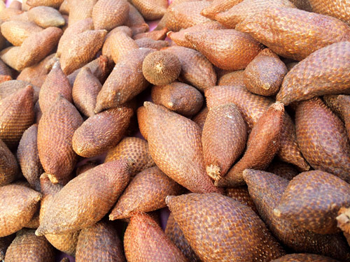 Mây Thái hút khách vì lạ