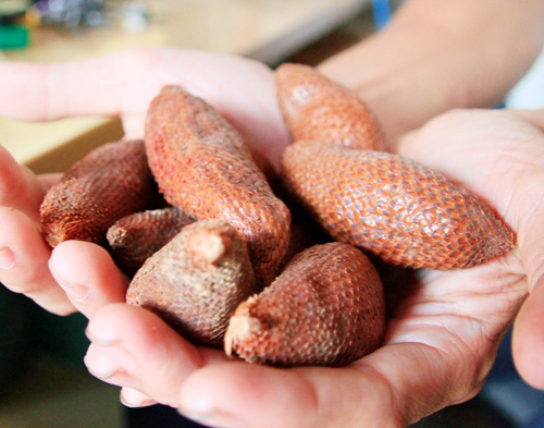 Mây Thái hút khách vì lạ