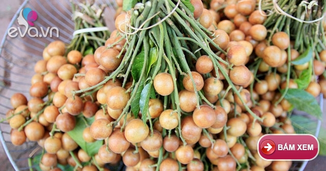 Hà Nội thơm ngon quất hồng bì