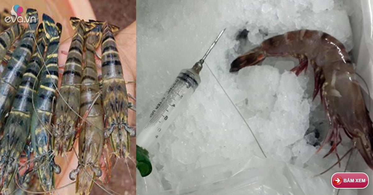 Cách phân biệt tôm sạch và tôm tiêm tạp chất