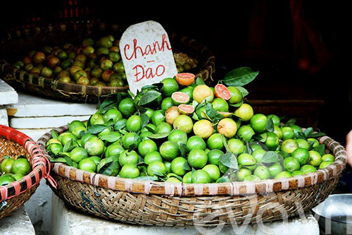 Chanh Dao : Tháng 10, mùa chanh đào đang rộ