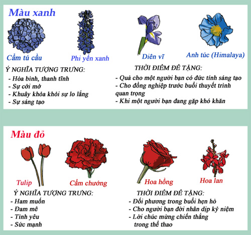 Infographic: Biểu tượng và ý nghĩa các loại hoa